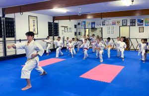 Shotokan Karate Budokai – Traditional Japanese Shotokan Karate Dojo in ...